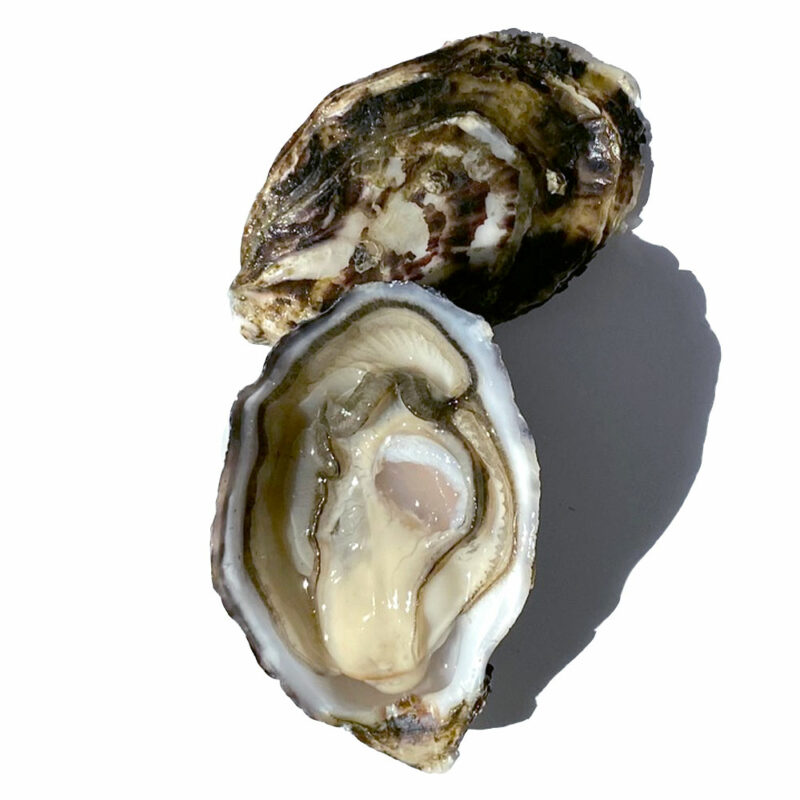 Livraison d'huîtres et de fruits de mer - La Maison Quintin