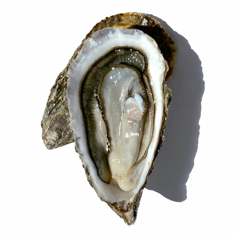 Livraison d'huîtres et de fruits de mer - La Maison Quintin