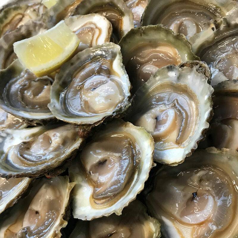 Huître plate "La Belon" - La Maison Quintin